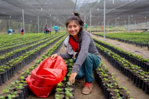 Fairtrade Risk Map: identifying risks is the first step to tackling them