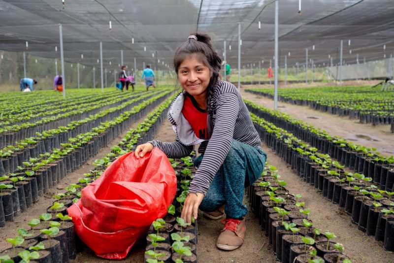 Fairtrade Risk Map: identifying risks is the first step to tackling them