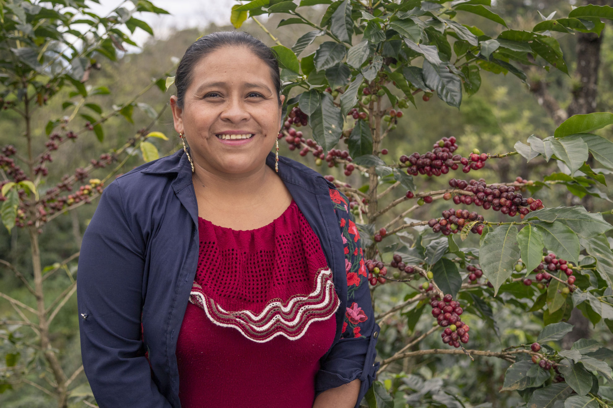 HOW FAIRTRADE WORKS WITH INDIGENOUS COFFEE COMMUNITIES - Fairtrade Canada