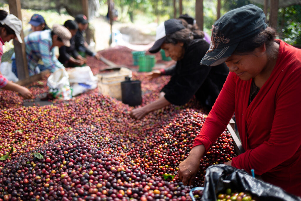 Fairtrade Risk Map: identifying risks is the first step to tackling them