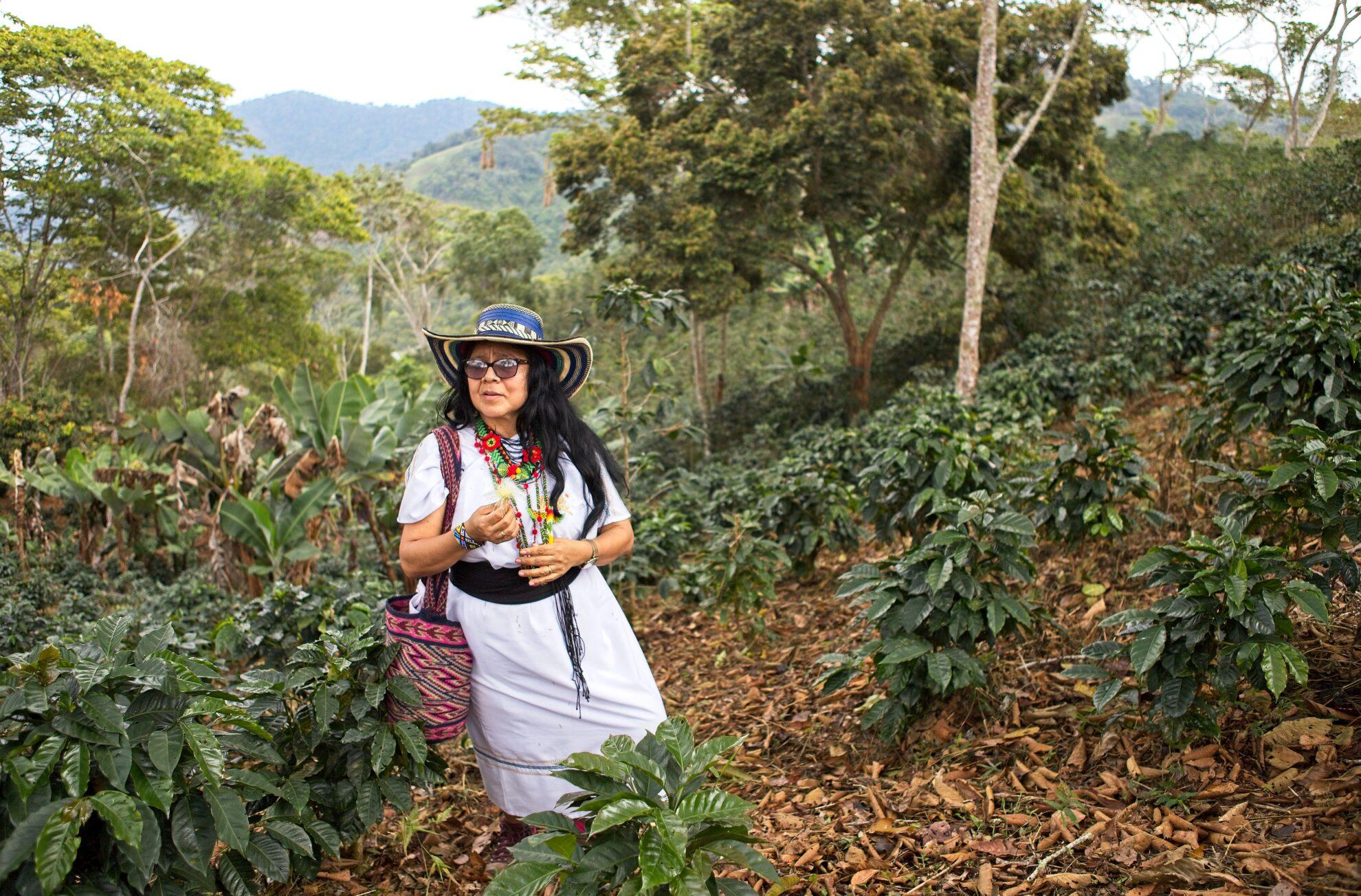 9 things you probably didn’t know about fair trade coffee (and were ...