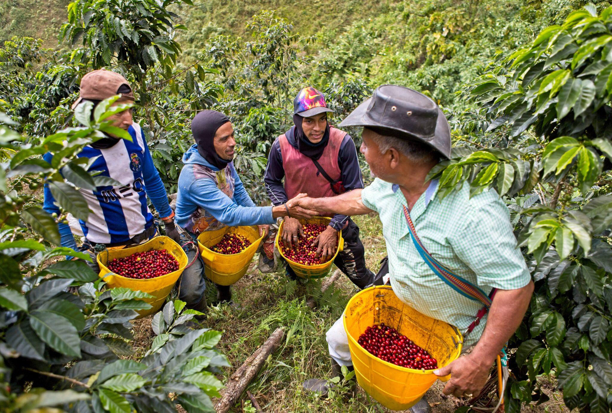 9 things you probably didn’t know about fair trade coffee (and were ...