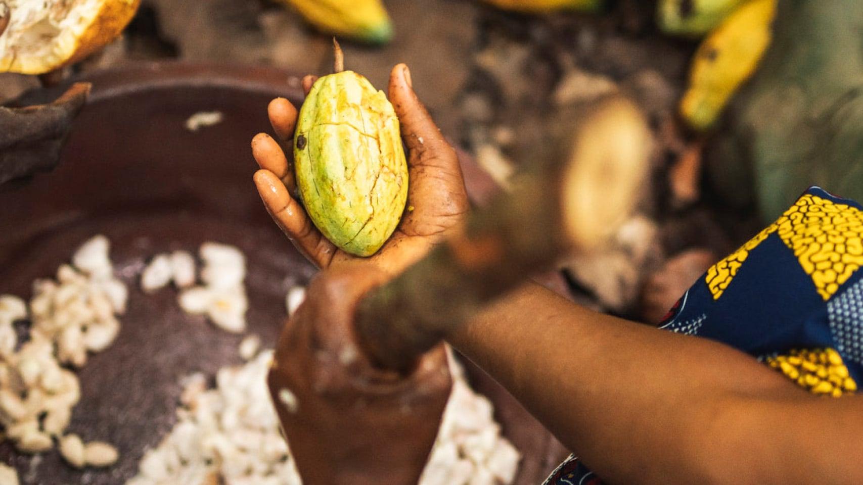 Cocoa Resource Kit - Fairtrade Canada